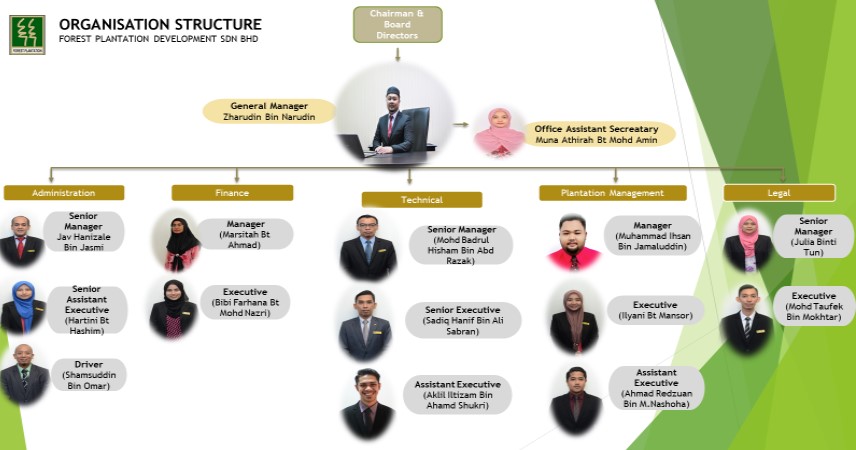 Organization Chart | Forest Plantation Development